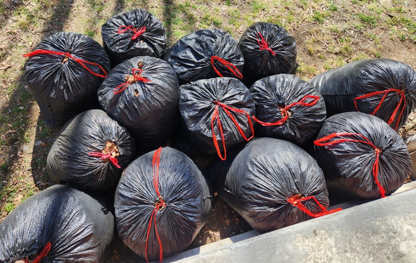 SHS Religion Classes Stewardship | Saint Vincent de Paul Catholic Church